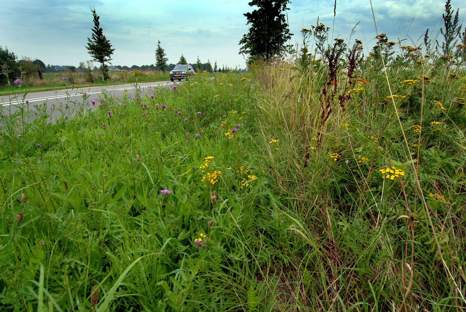 Duurzaam, circulair en lokaal: Nederlandse wetenschappers ontwikkelen ...
