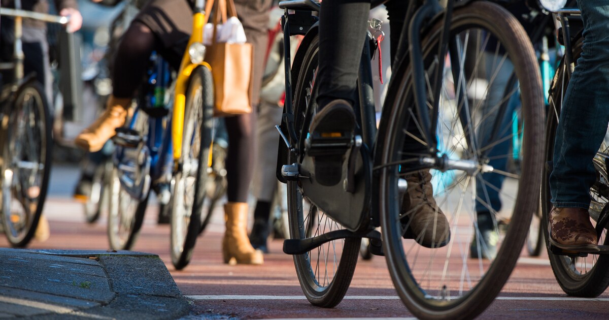 Opinie: ‘Fietsers rijden geen mensen dood, dus pak de automobilist aan’ | Het Parool