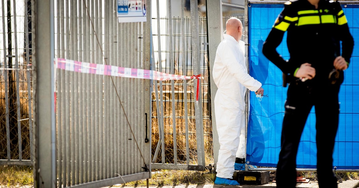 Shurandy S. bekent doodschieten broer kroongetuige B. | Het Parool