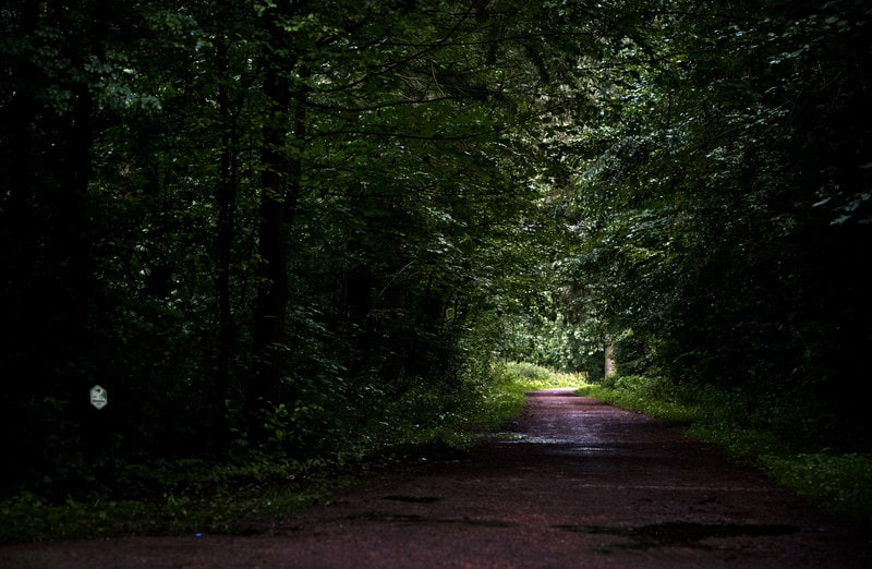 Jaap van der H. bekent moord op Dirk Post | Het Parool