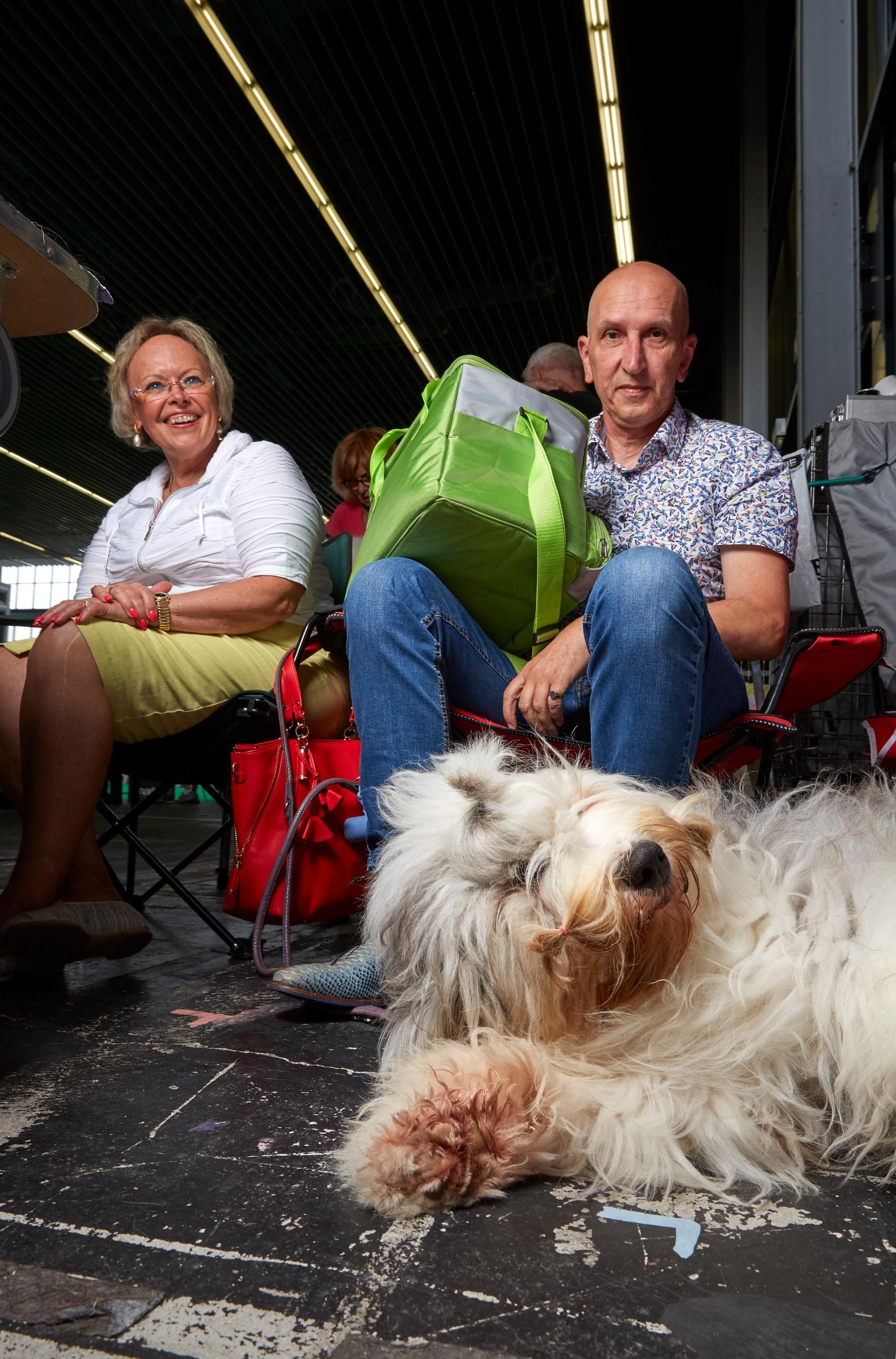 Alles voor de show: 'Ik ben 80 uur per week aan de honden kwijt' | Het ...