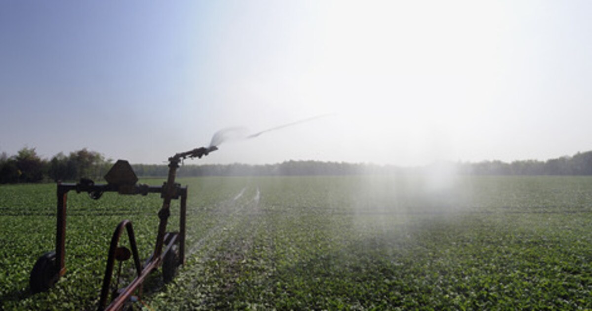 Code rood in natuurgebieden Limburg | Het Parool