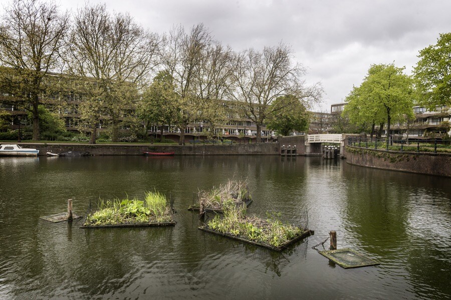 Stadsdeel Centrum in de maag met zelfbeheer watertuinen | Het Parool