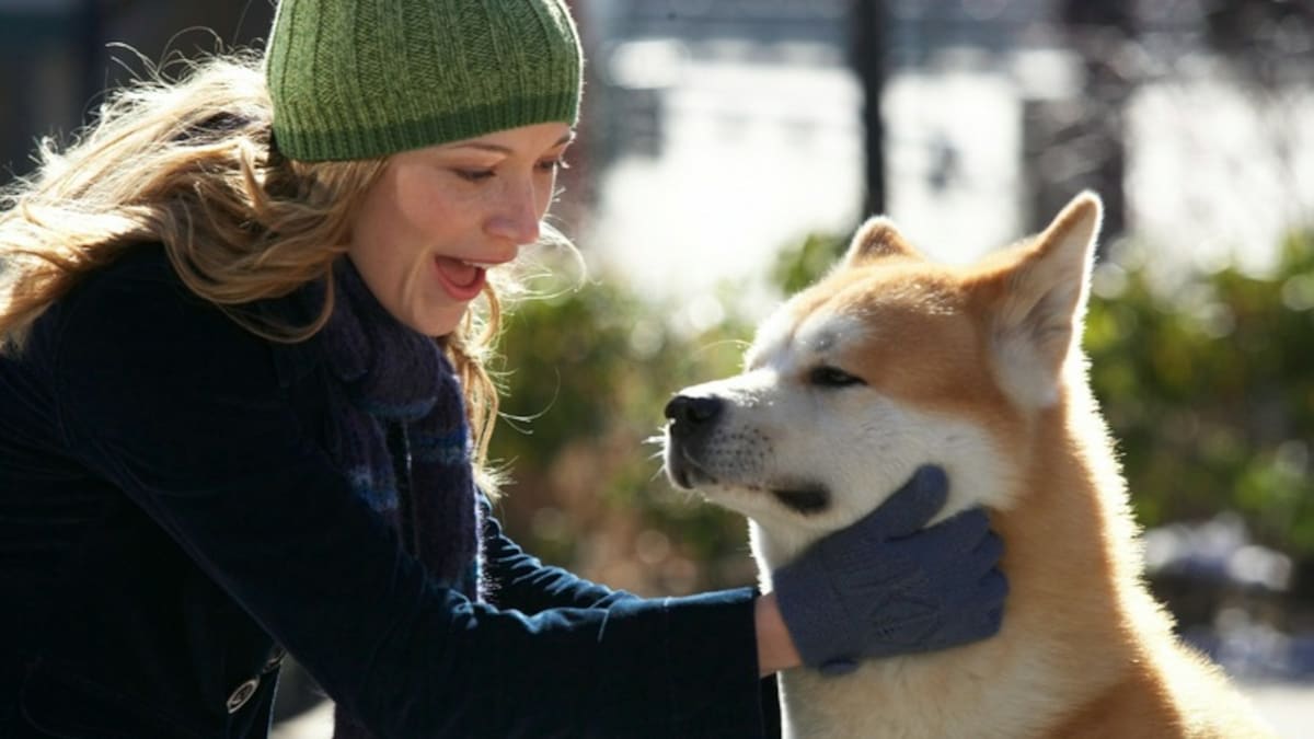 Hachi En Hundehistorie 22 Ideeën Over Hachi | Honden, Dieren, Akita