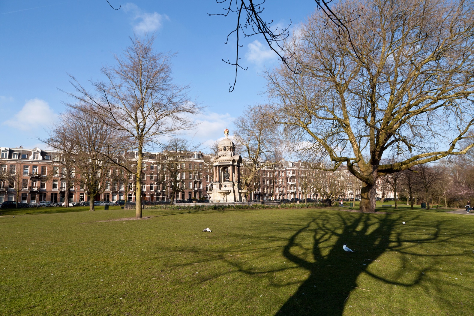 Het Amsterdam van Carré-directrice Madeleine van der Zwaan | Het Parool