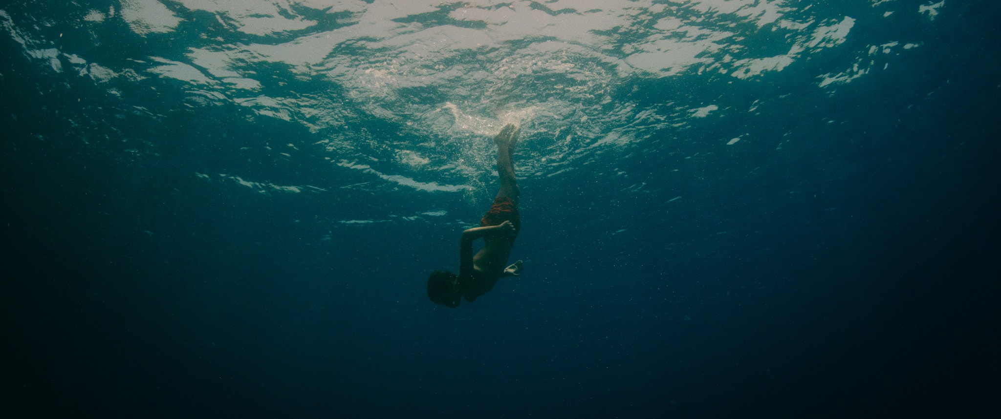 De beelden uit thriller Évolution blijven in je hoofd spoken | Het Parool