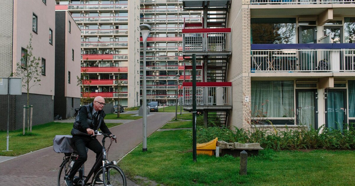 DUO haalt steeds meer geld terug bij frauderende studenten | Het Parool