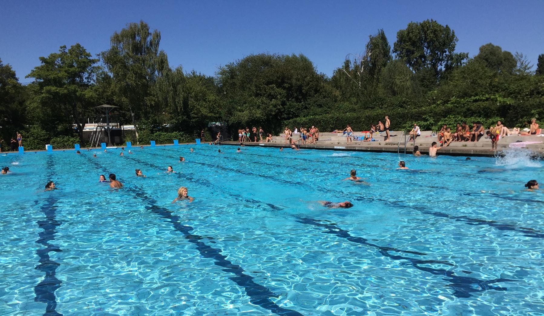 Le Monde: Flevoparkbad een van de mooiste buitenbaden ter wereld | Het ...