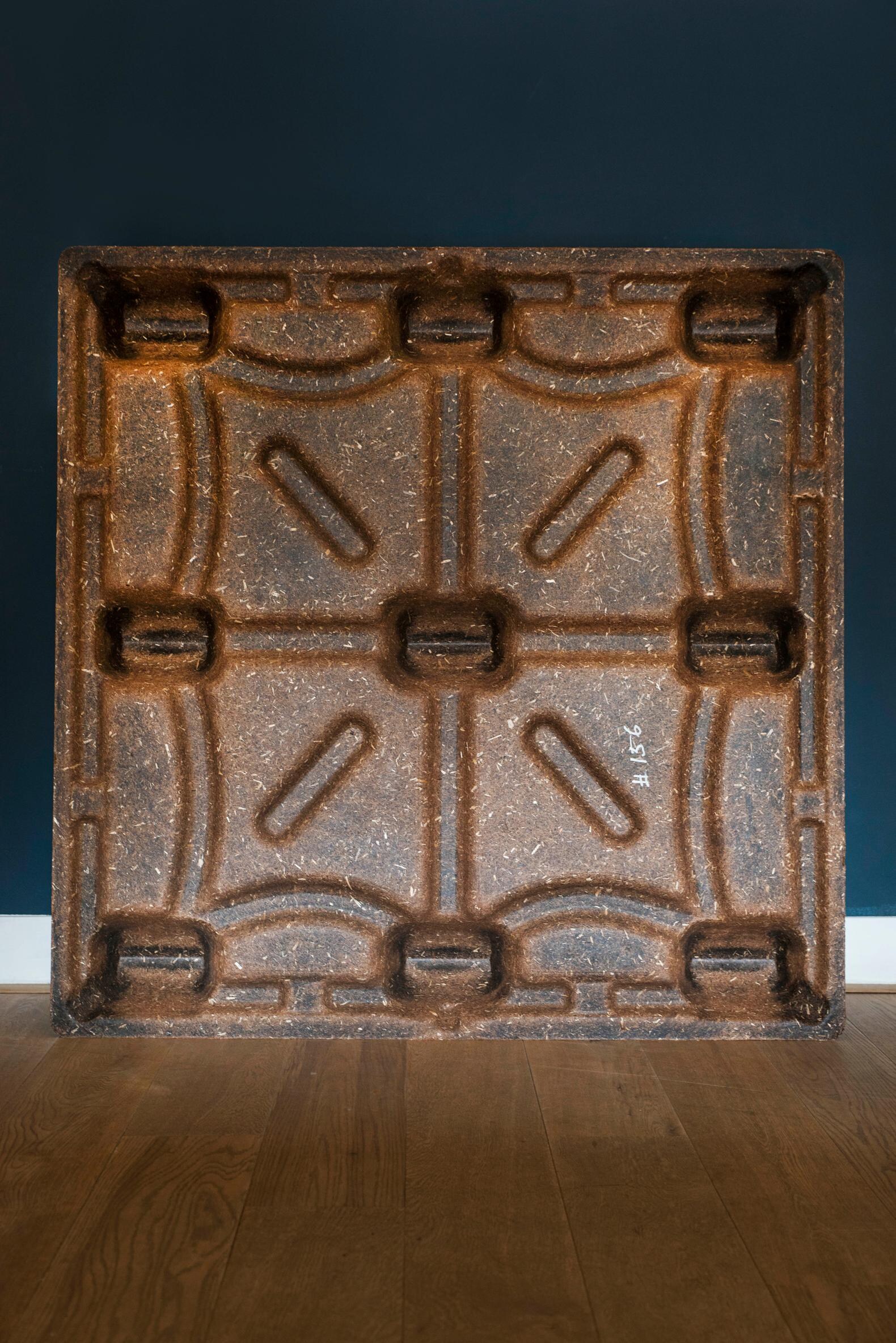 De Amsterdamse kokospallet moet miljoenen bomen sparen | Het Parool