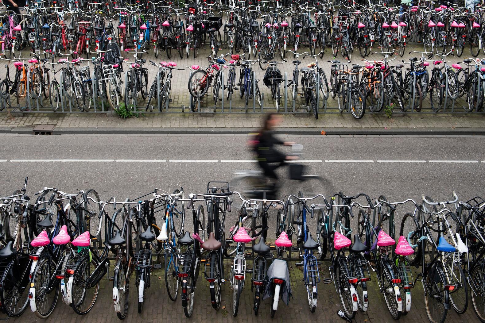 Met hun fietsen tonen hogeropgeleiden hoe goed ze het hebben | Het Parool