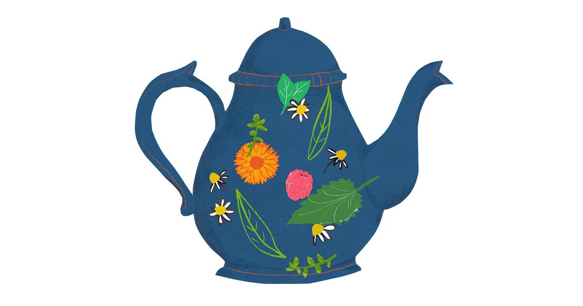 Aan de pluk: 10x thee uit eigen tuin | Het Parool