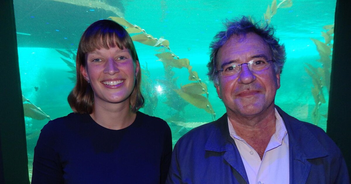 Hier kun je dansen, met de dieren op de achtergrond | Het Parool