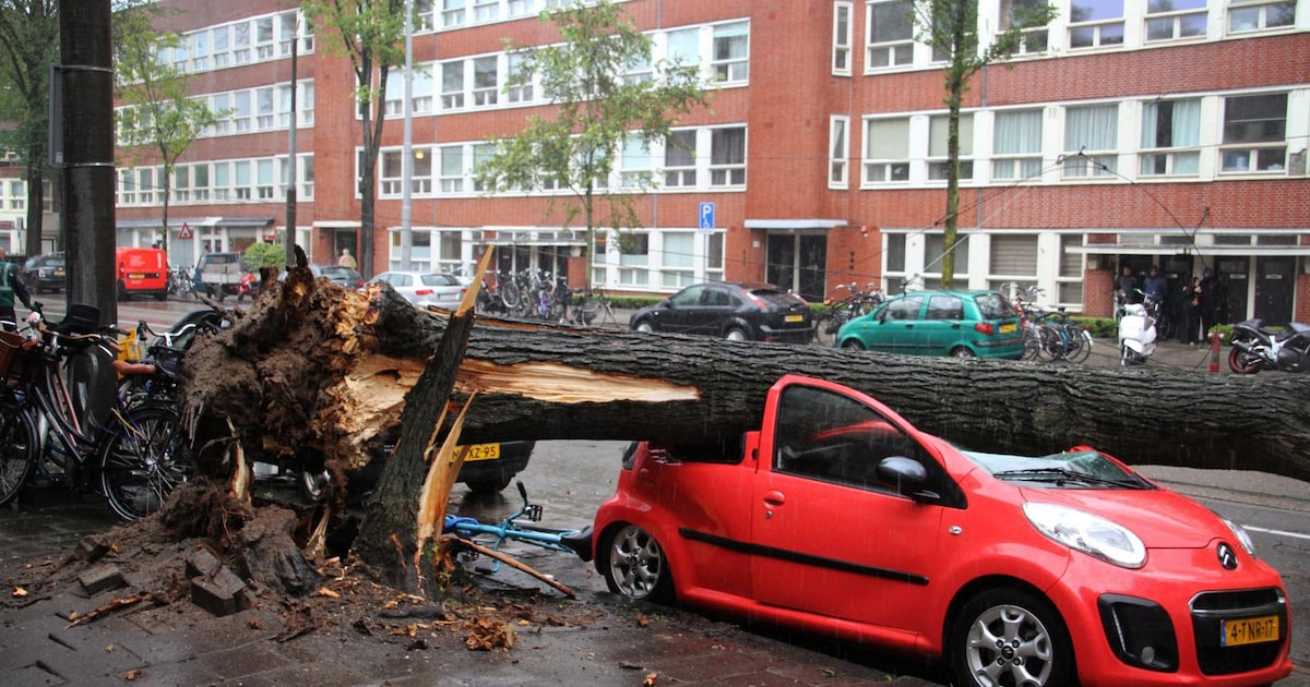 Stormschade: wat is verzekerd en wat niet? | Het Parool