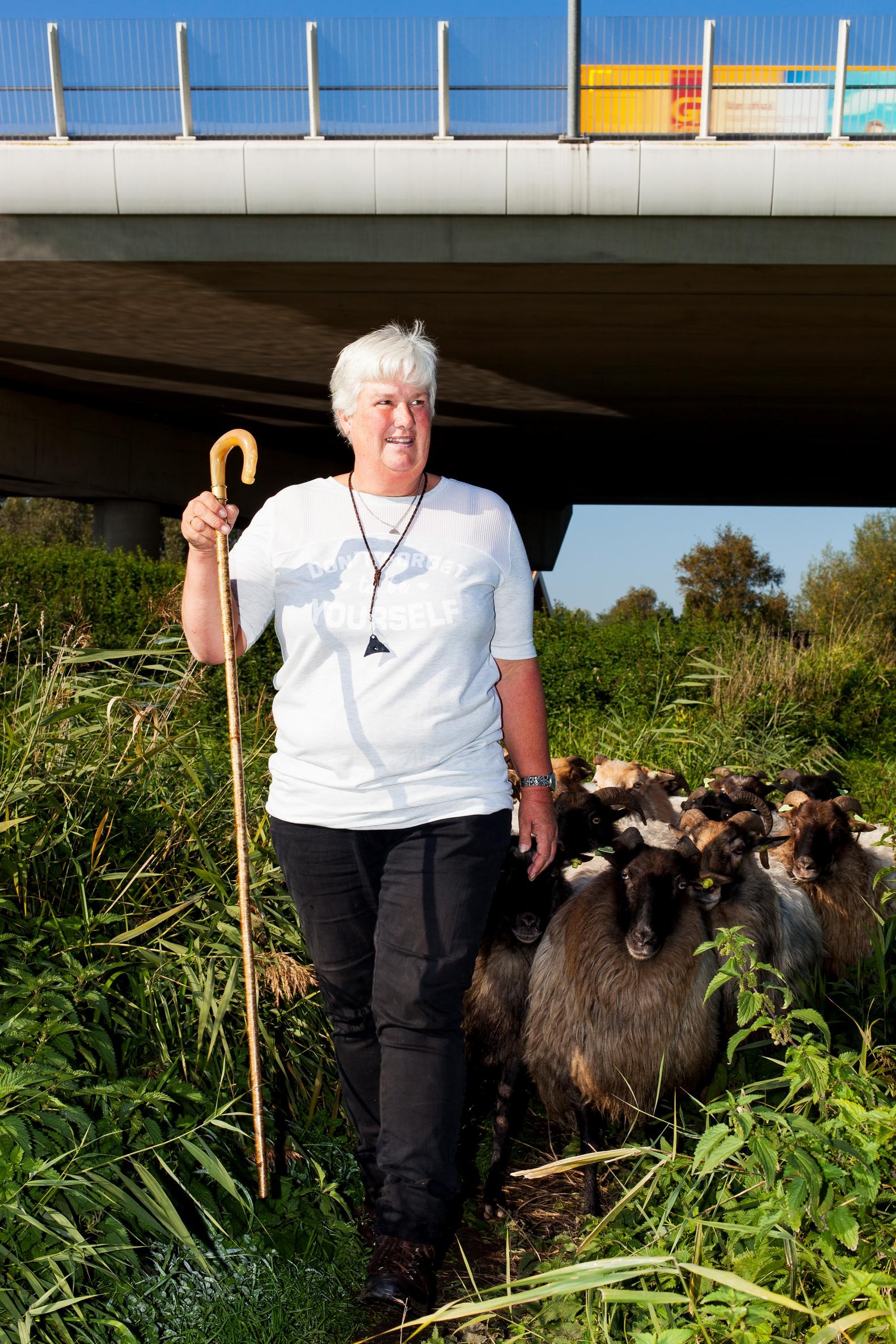Sylvia Passchier is schaapherder in Amsterdam: 'Elk schaap is anders ...