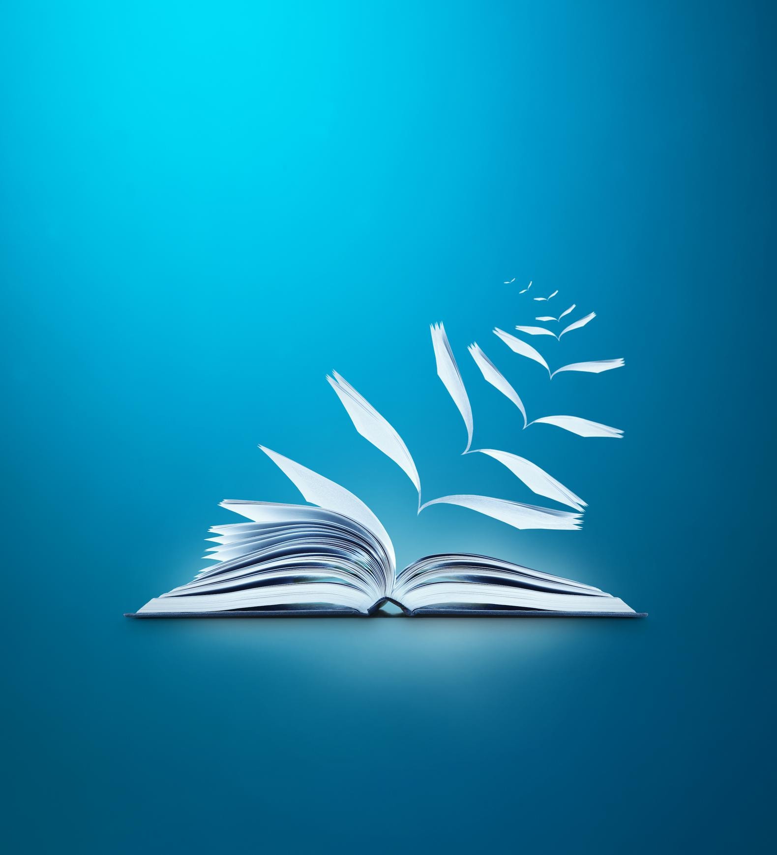 Pleidooi van het korte verhaal: weinig woorden, een heel leven | Het Parool