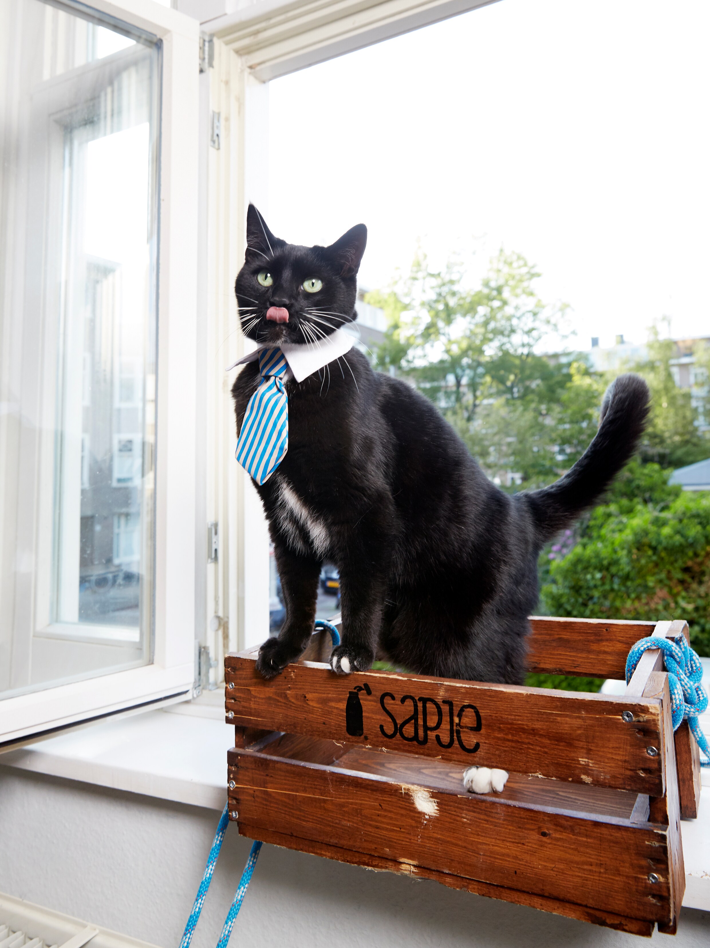 Dierenrijk | Het Parool