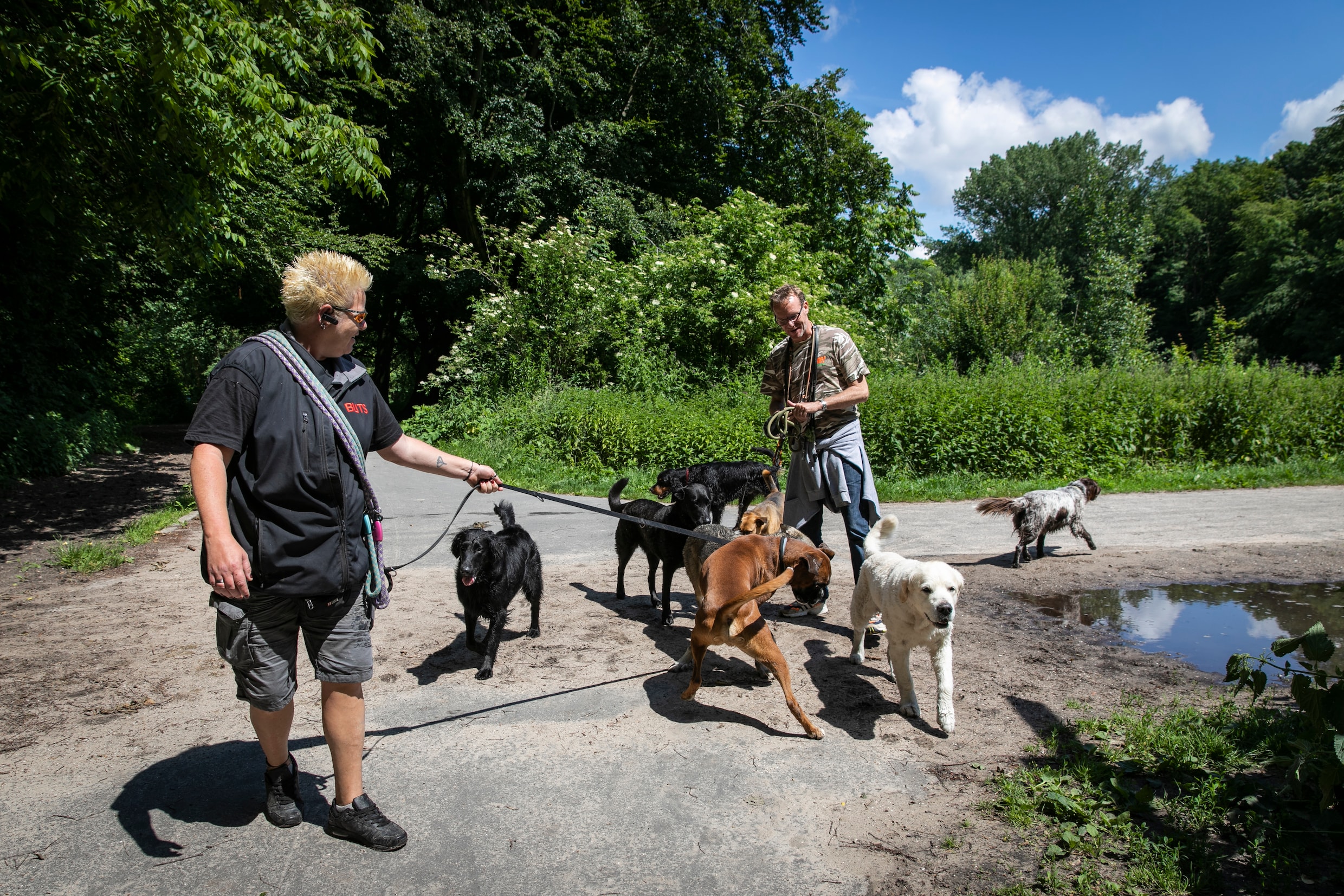 Malafide praktijken uitlaatservices: wie mag hier de honden uitlaten ...
