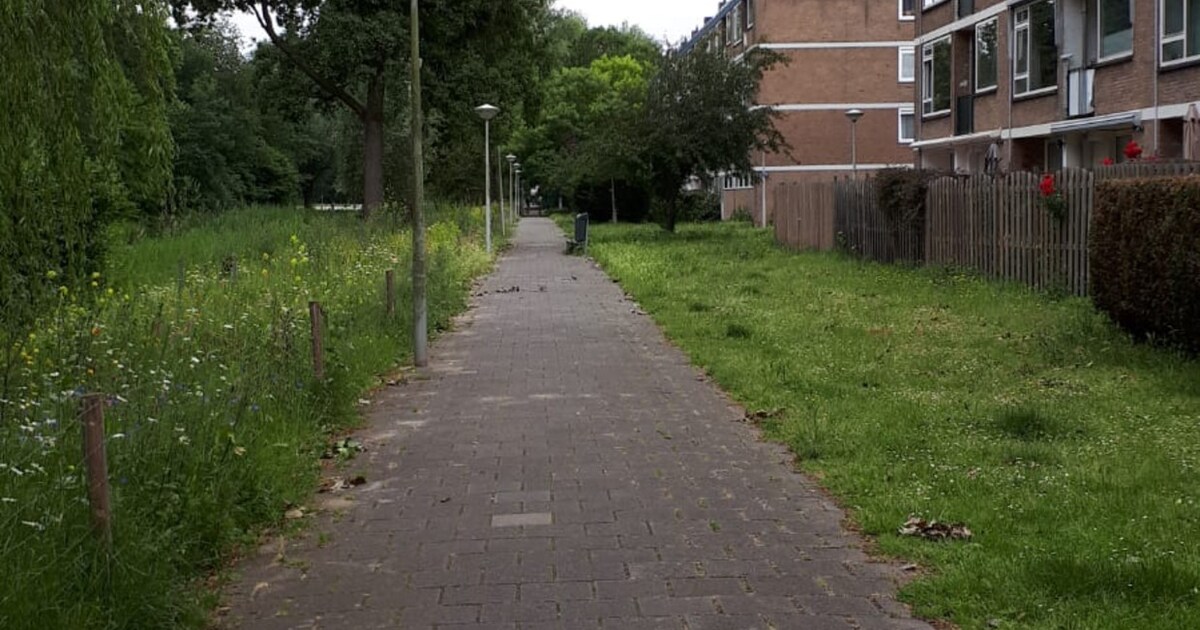 Stille tocht voor fatale mishandeling en verkrachting van Rinia ...