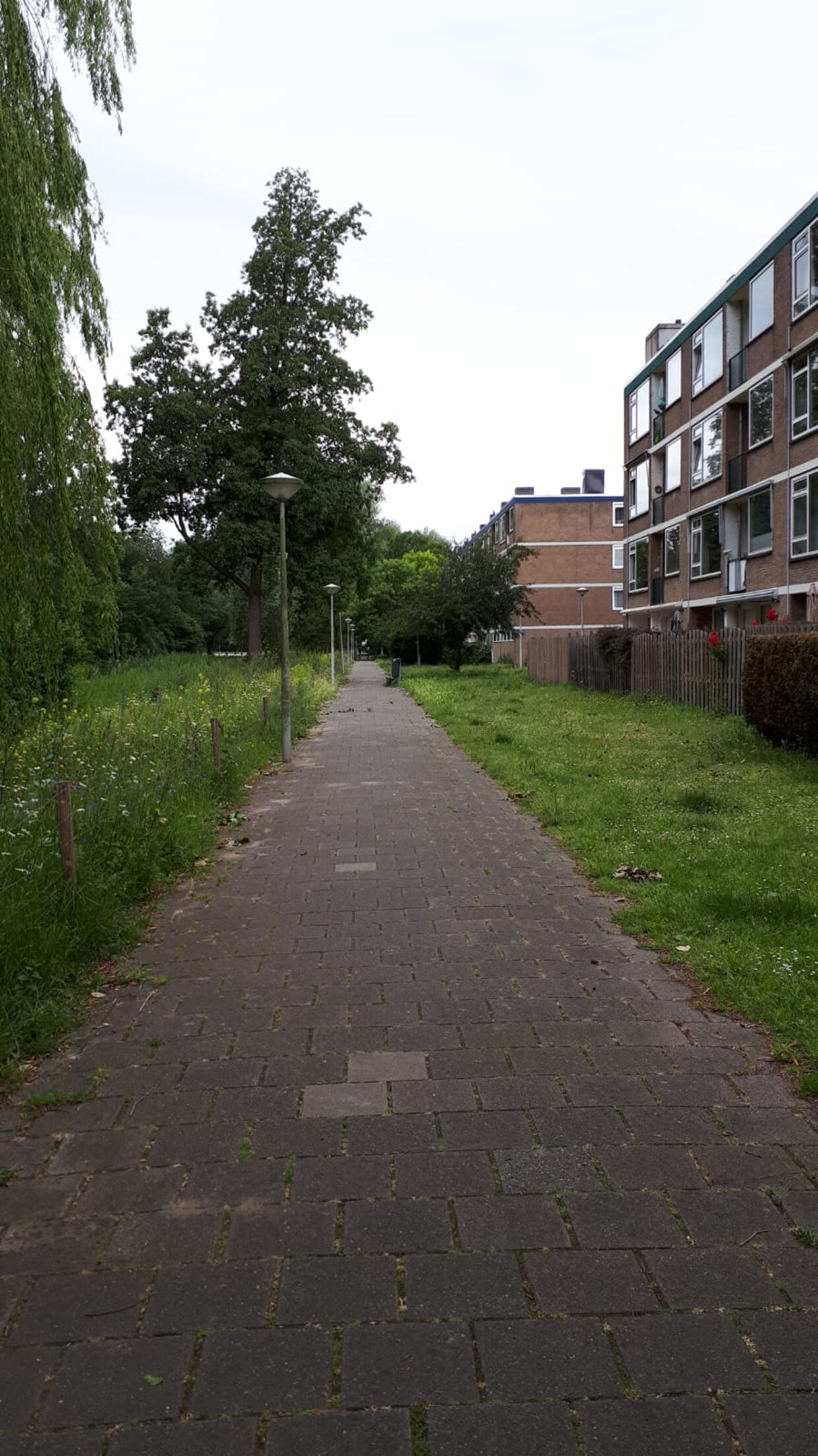 Stille tocht voor fatale mishandeling en verkrachting van Rinia ...