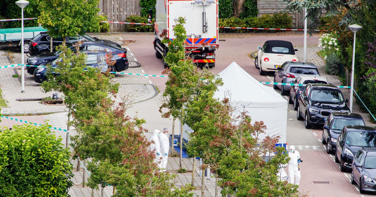 Strafzaak tegen voortvluchtige verdachte van de moord op advocaat Derk Wiersum moet opnieuw ...