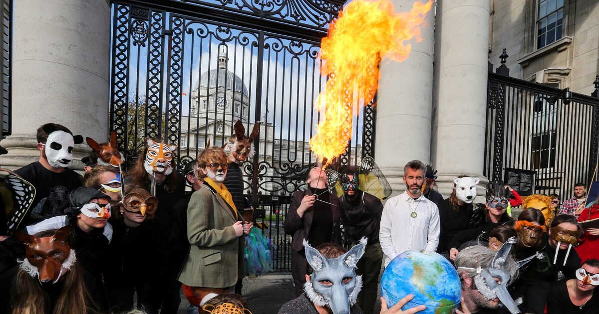 Romandebuut ‘Wat we delen’ druipt van de liefde, verwijten en ...