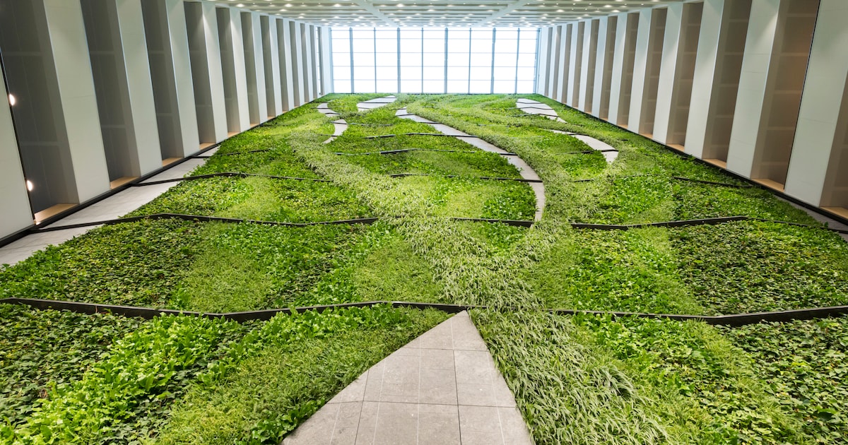 EMA’s new office in Amsterdam: a surprisingly dramatic interior behind ...