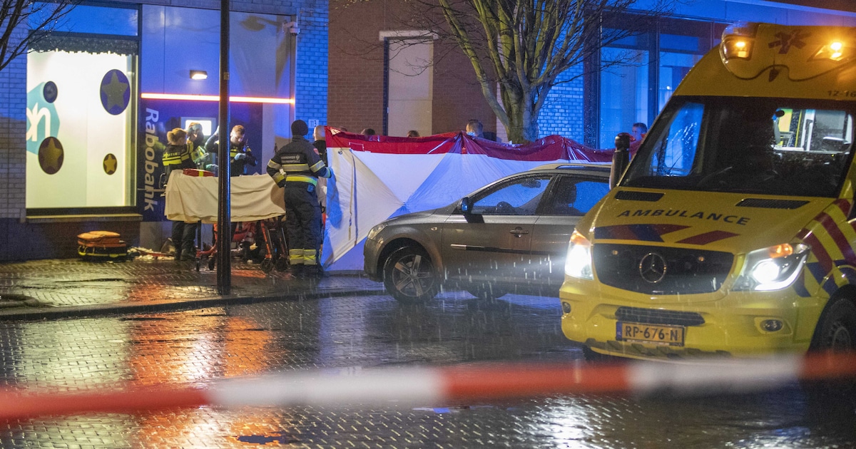 Twee nieuwe aanhoudingen voor dodelijke steekpartij Hoofddorp | Het Parool