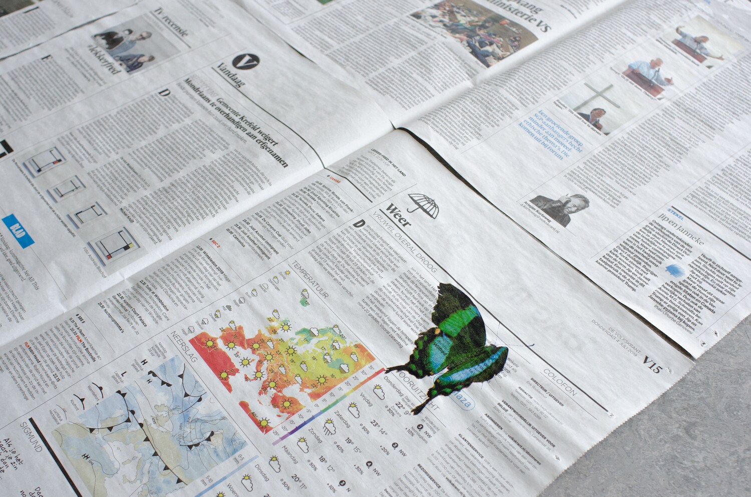 Babymuizen en Ajaxkunst: lichting 2019 van de Rietveld studeert af ...