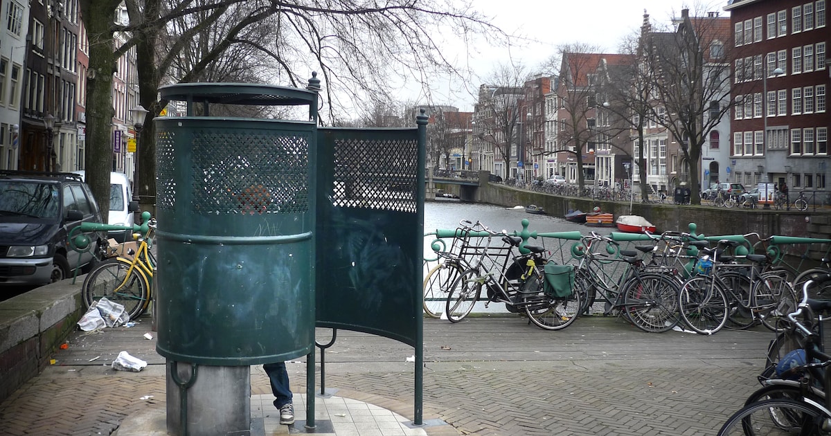 Vaarwel donkergroene Amsterdamse plaskrul | Het Parool