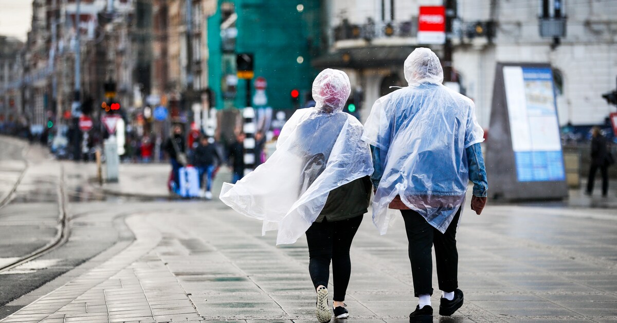 Paraplu mee, want er is herfstachtig weer op komst: temperatuur zakt en ...