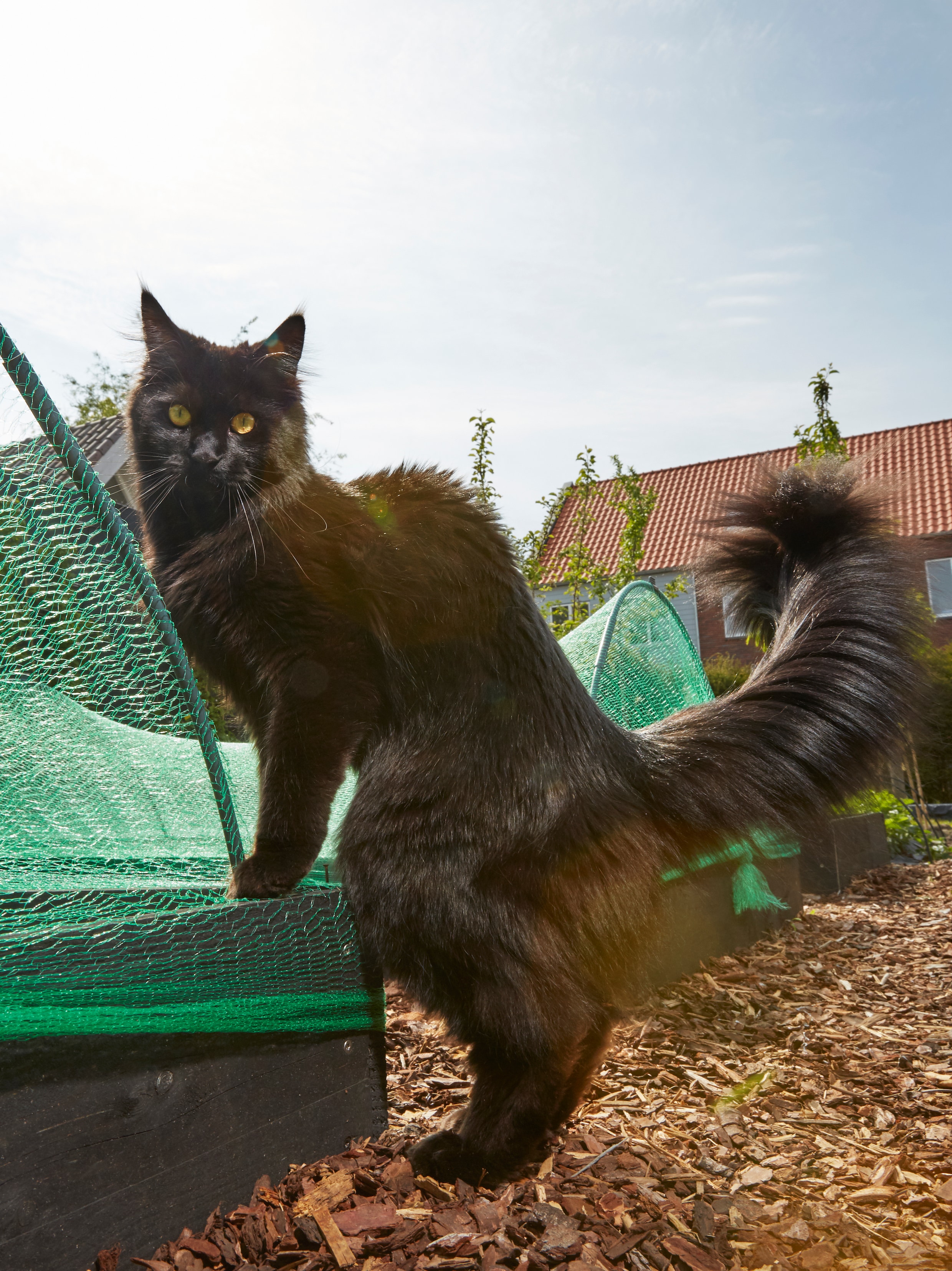 Dierenrijk | Het Parool