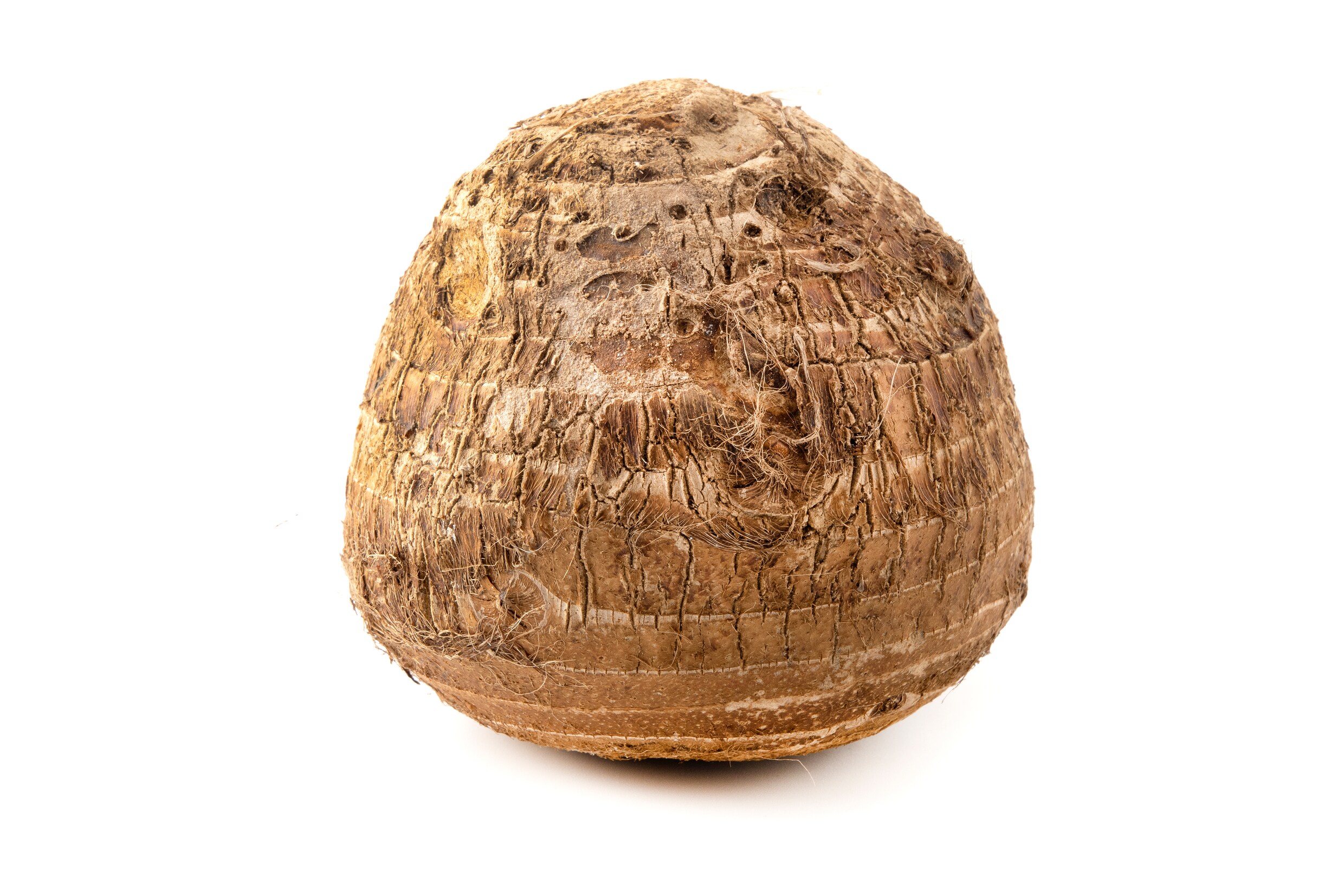 Pom zou meer ingeburgerd mogen zijn bij mensen zonder Surinaamse ...