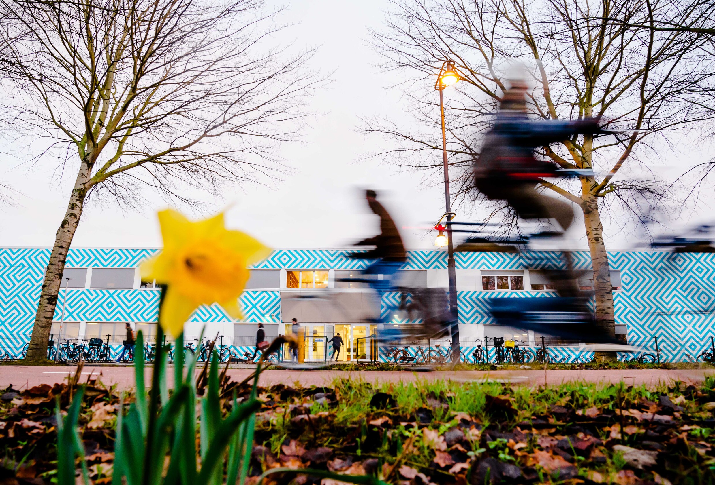 Haga Lyceum overweegt via rechter publicatie kritisch inspectierapport ...