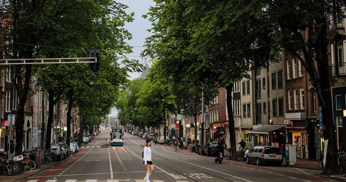 De wapens tegen hitte in de stad zijn groen, blauw en wit: laat weer ...