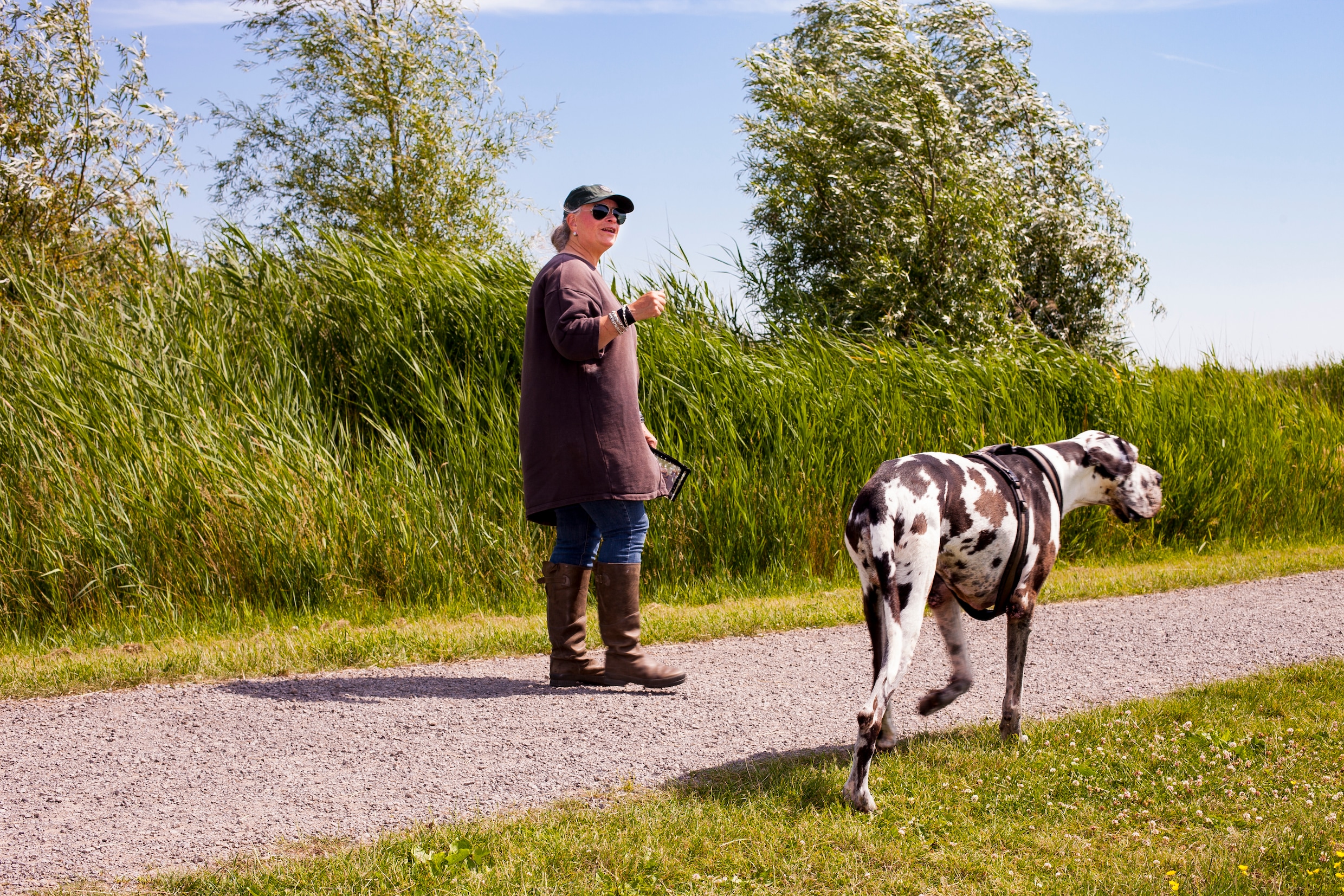 Geen mensenrechten, maar hondenrechten: bij Dogs & People draait alles ...