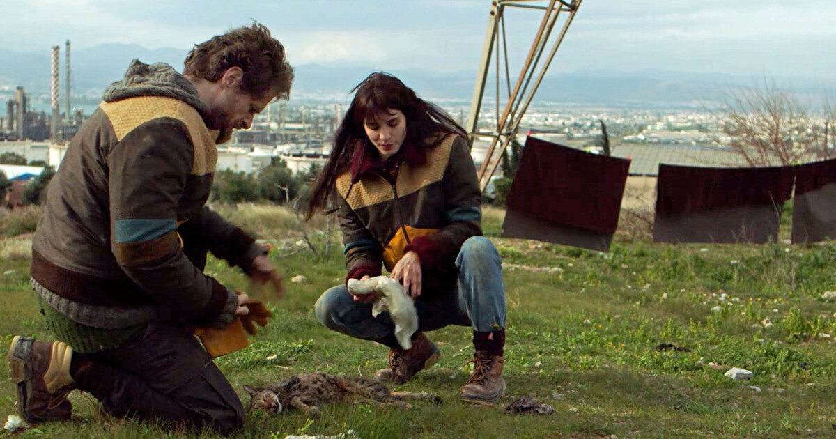 Filmmaker Janis Rafa: ‘We moeten rouwen om al die dode dieren’ | Het Parool