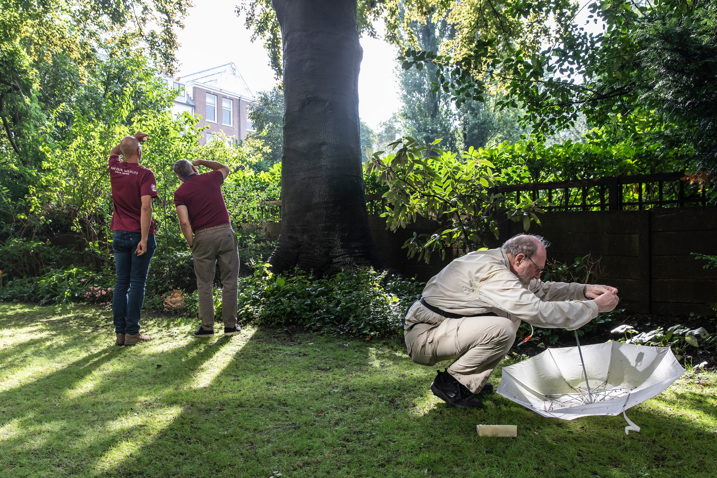 Onderzoek naar spinnen en nachtvlinders in een achtertuin aan de ...