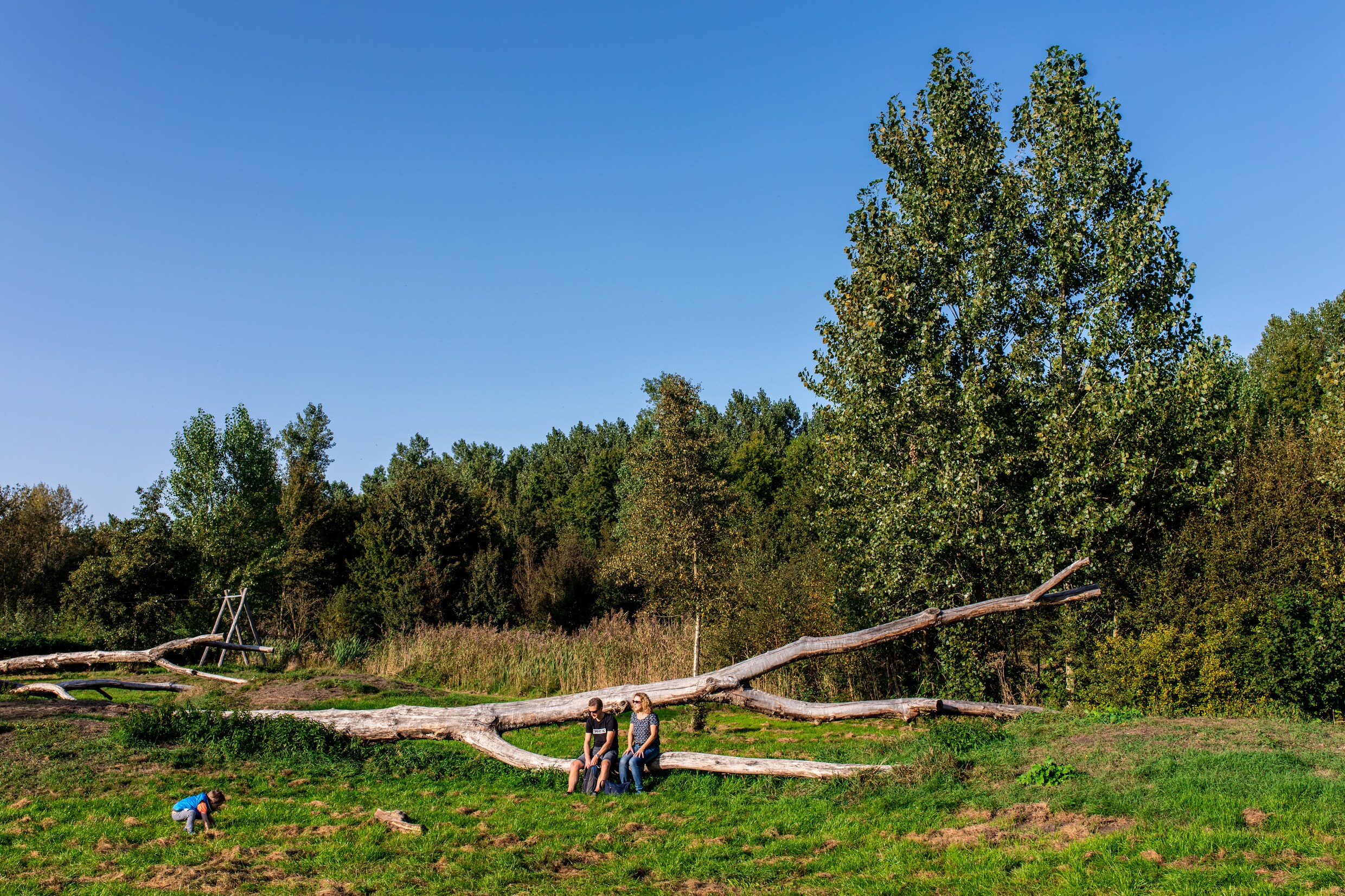 Staatsbosbeheer dreigt Diemerbos te verkopen als er geen geld bij komt ...