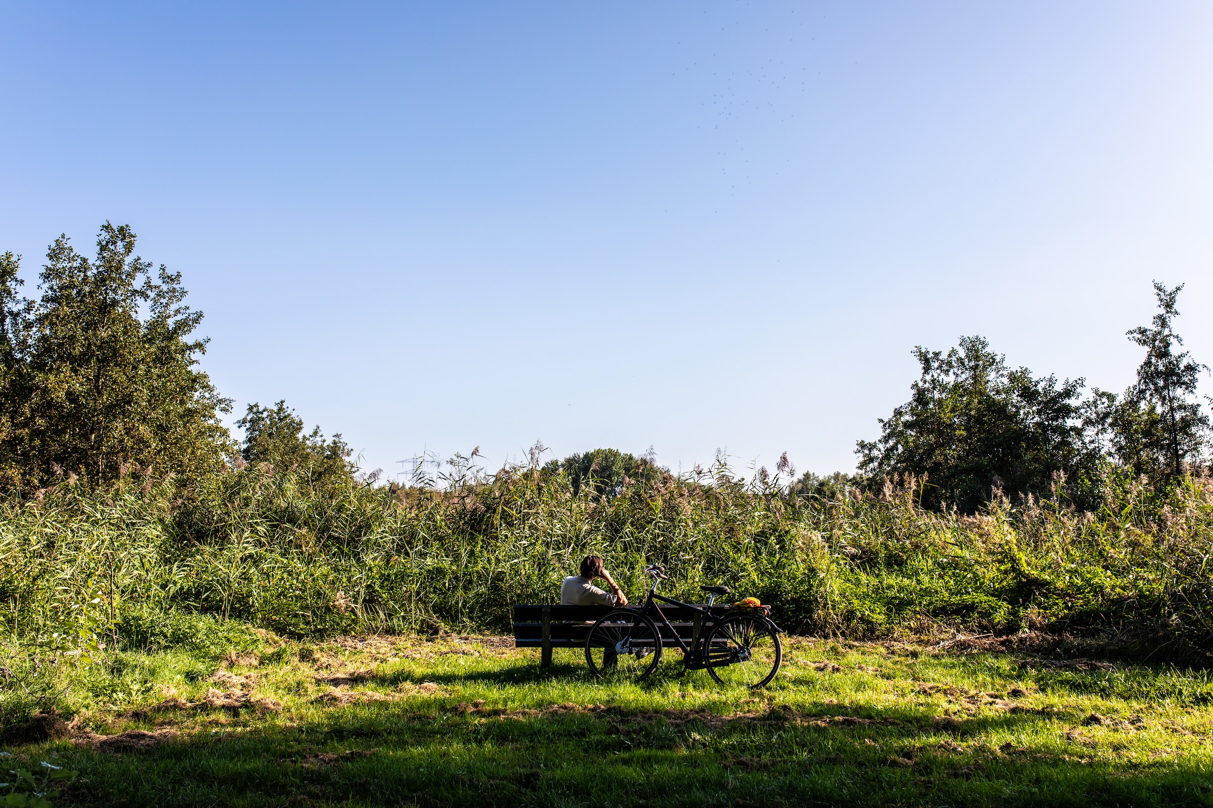 Amsterdam krijgt nieuw groen fietsrondje: het Rondje Diemerscheg opent ...