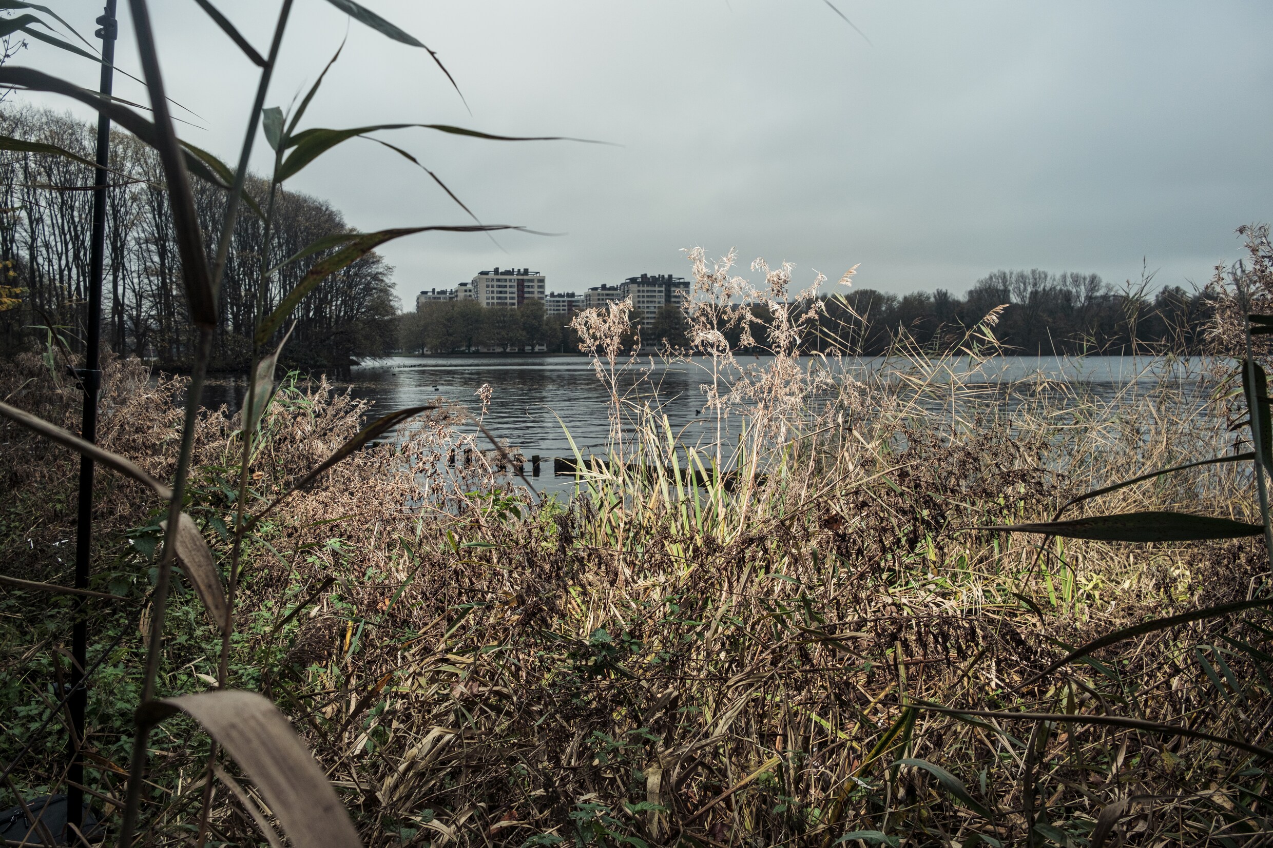 Robert N. werd eerst vrijgesproken, maar krijgt in hoger beroep 10,5 ...