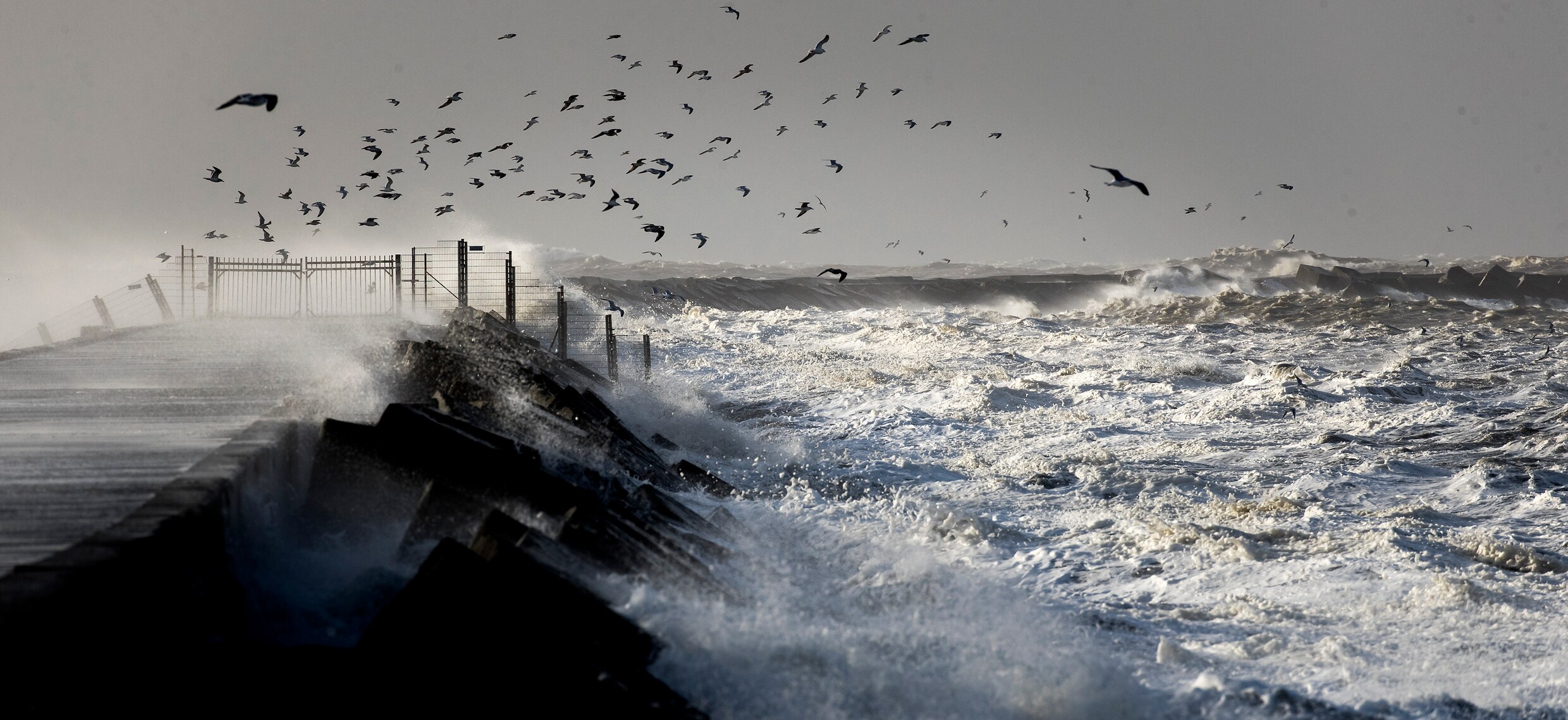 Code geel aan noordwestelijke kust om zware windstoten | Het Parool