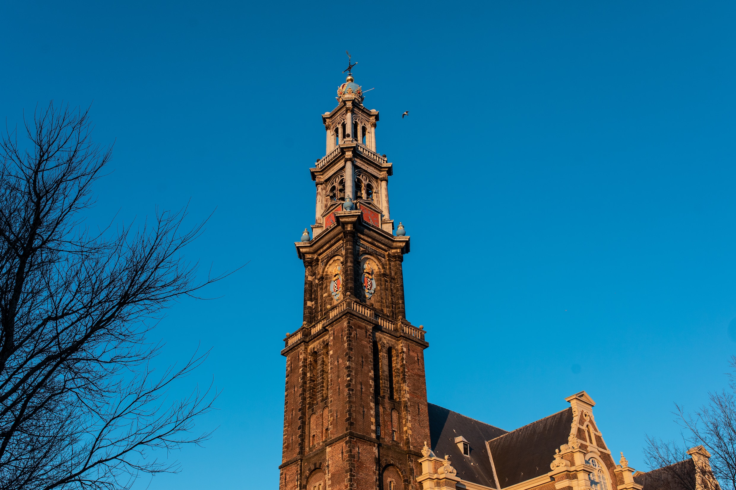 De Westertoren in de steigers, dat levert een hoop uitdagingen op | Het ...
