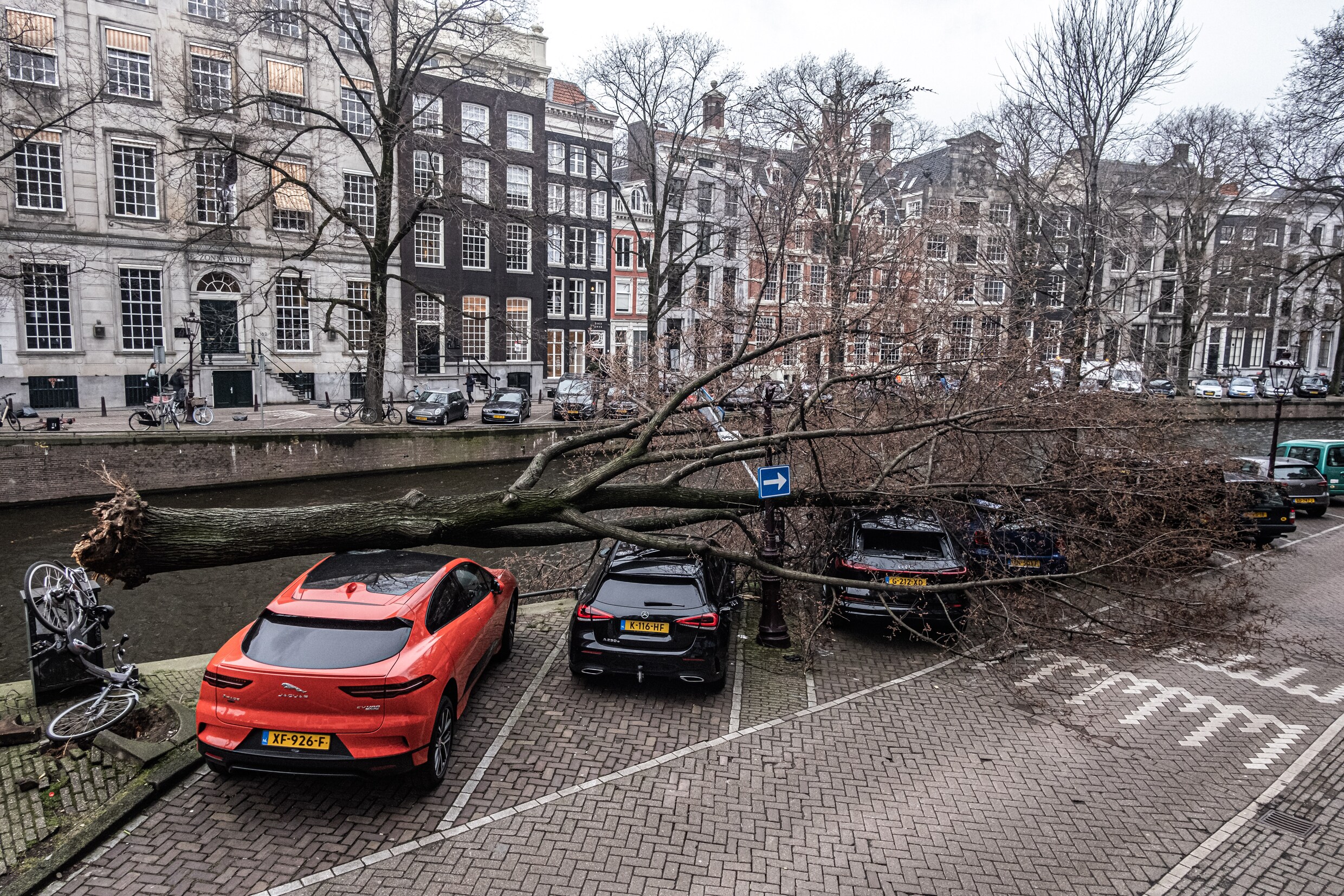 Omgewaaide bomen door storm Evert zorgen voor flinke schade | Het Parool