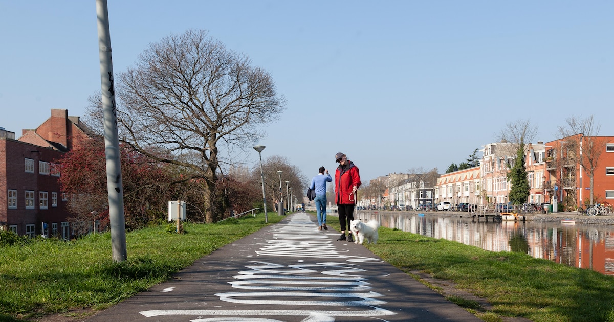 De Ringdijk krijgt een ode van rapper Sef met een gedicht van 500 meter ...