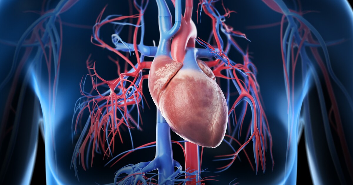Veelbelovende nieuwe methode moet wachttijden harttransplantaties ...