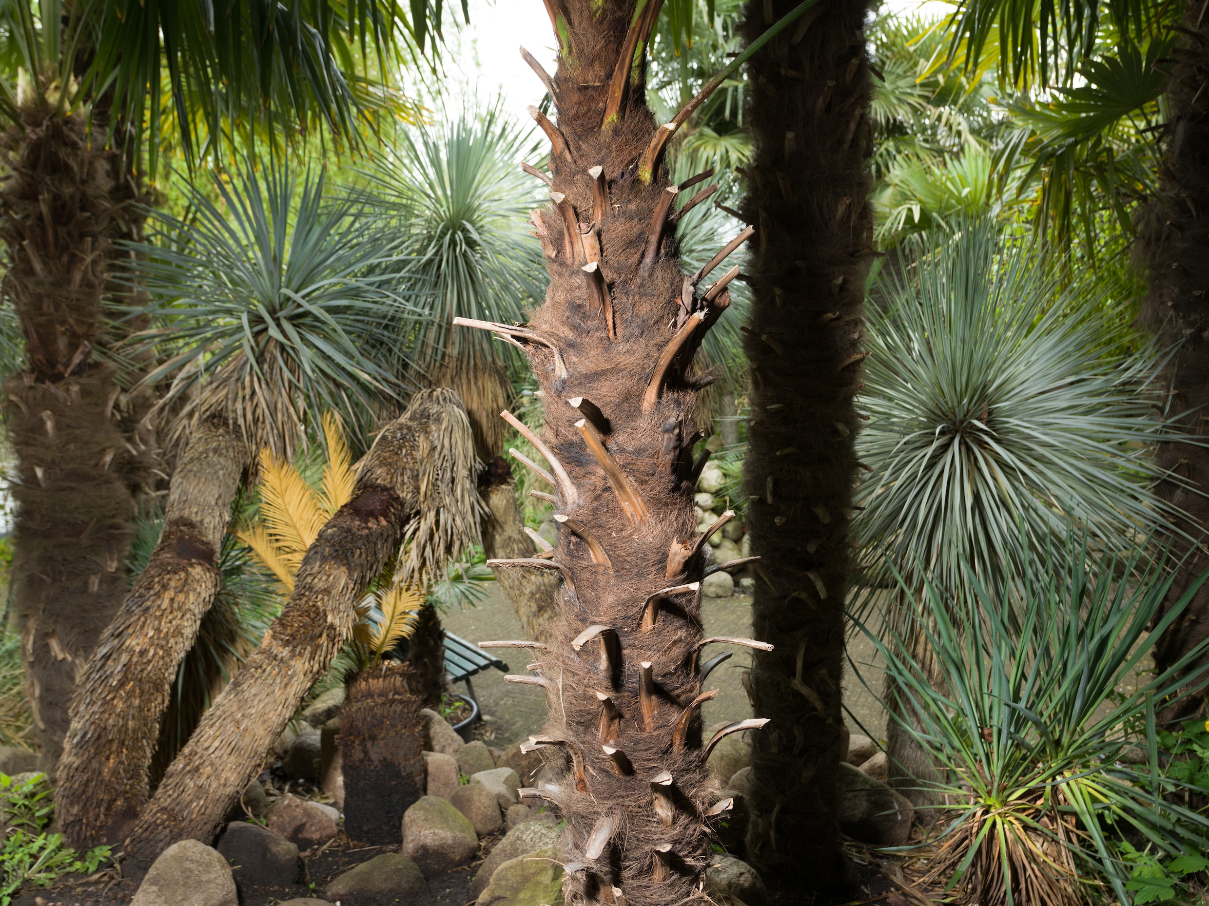Deze eilanden zijn een verborgen paradijs in Amsterdam: ‘Hier geen ...
