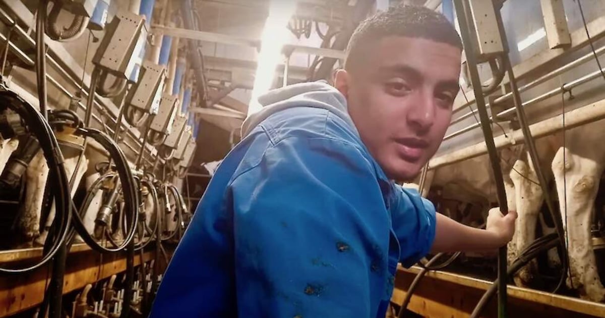 Amsterdamse boer Ayoub wint Nouri Award 2021 | Het Parool