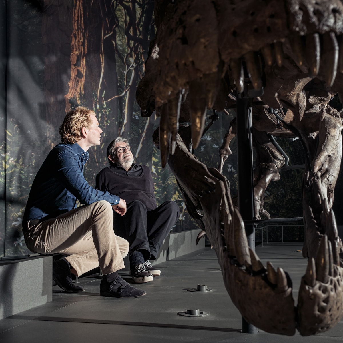 Avistamentos De T Rex
