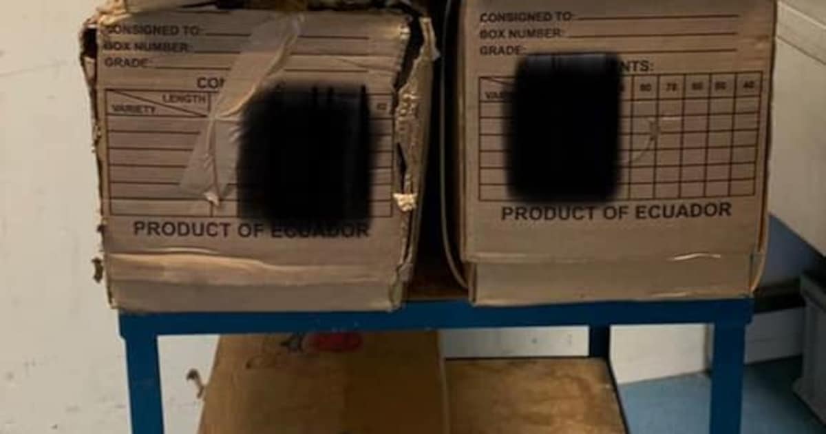 300 kilo coke ontdekt in ‘opmerkelijk zware’ dozen met bloemen op ...