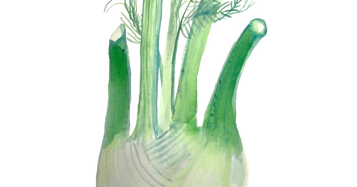 Venkel is een niet-veeleisende vriend op wie je altijd kunt terugvallen ...